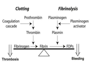 blood time and clotting time bleeding disorders | PPTX