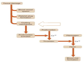 blood time and clotting time bleeding disorders | PPTX
