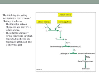 Blood Clotting Anatomy and physiology (BSC) | PPTX