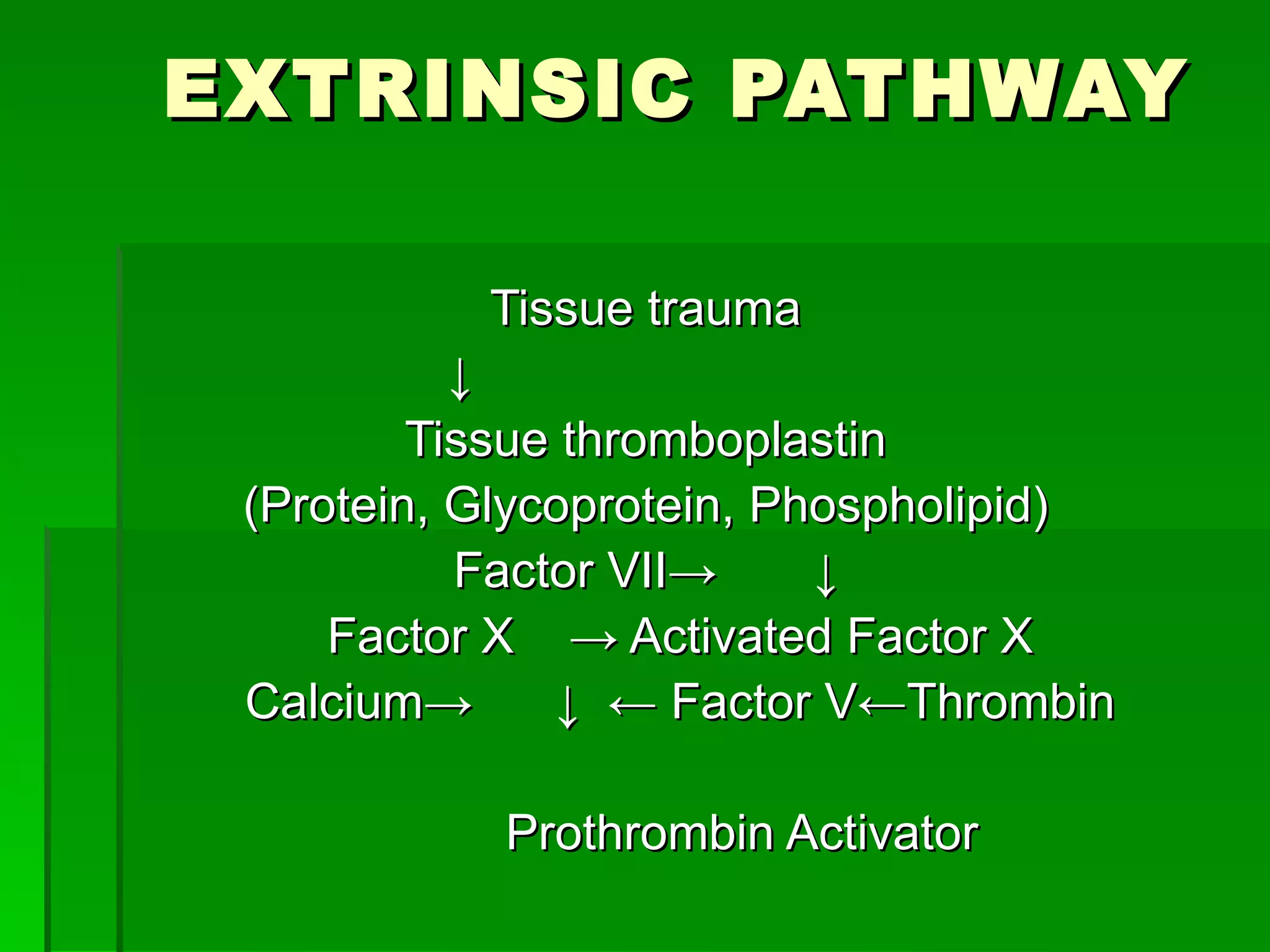 Blood clotting | PPT