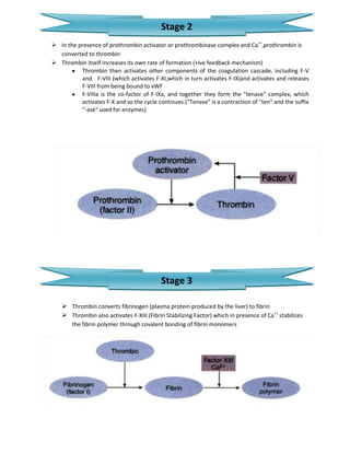 Blood Clotting Mechanism | DOCX
