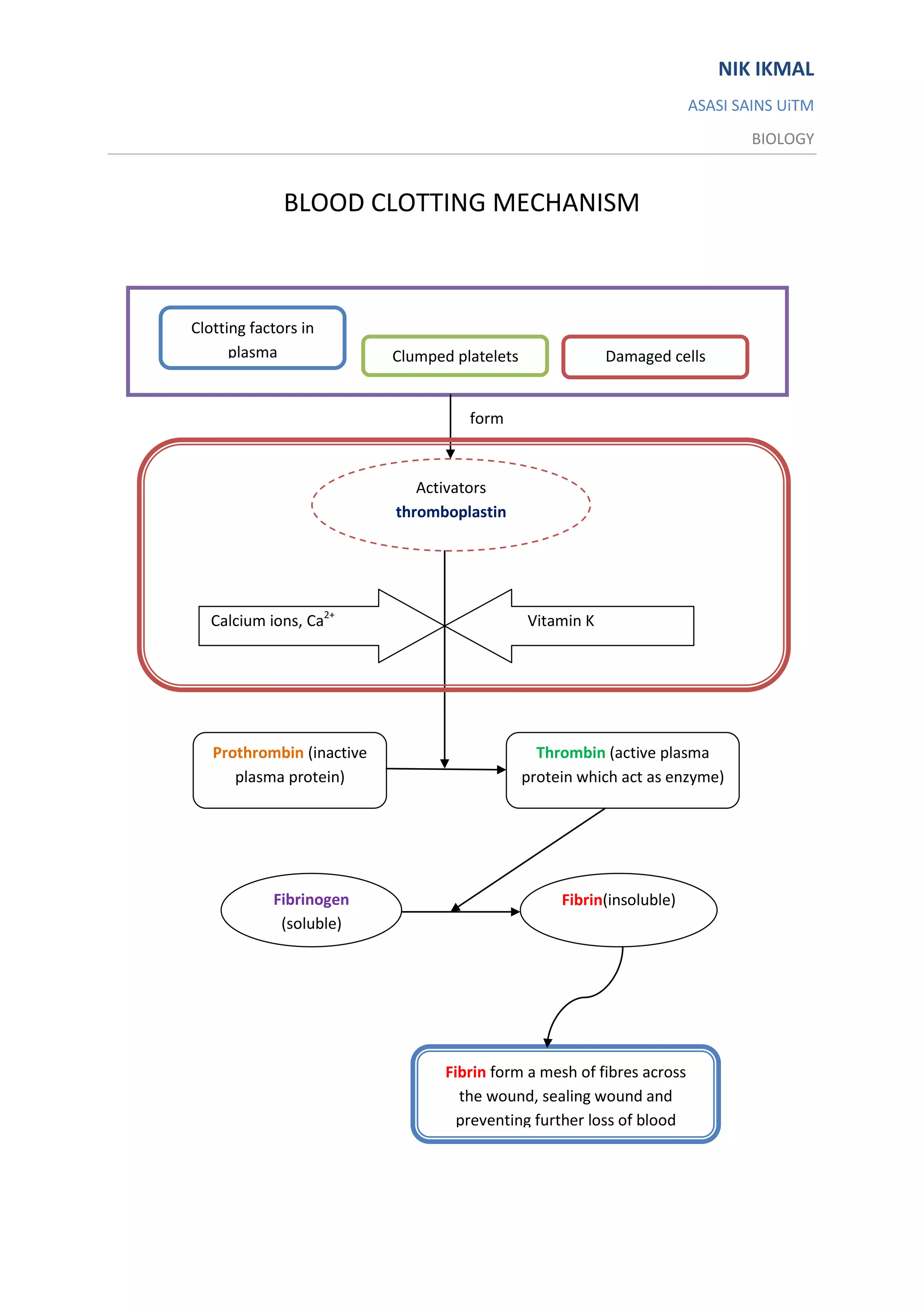 Blood clotting mechanism | PDF