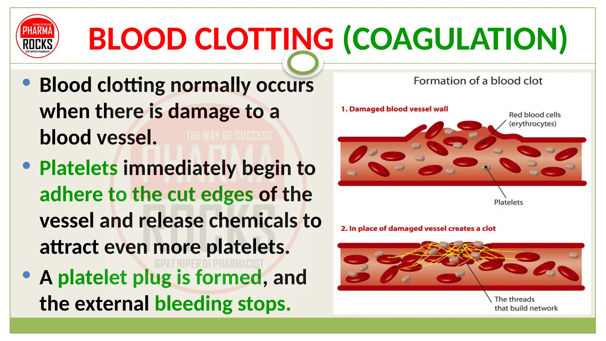 BLOOD CLOTTING MECHANISM COAGULATION BLOOD | PPTX
