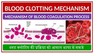 BLOOD CLOTTING MECHANISM COAGULATION BLOOD | PPTX