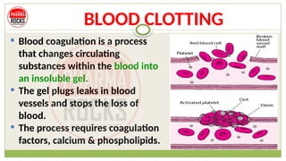 BLOOD CLOTTING MECHANISM COAGULATION BLOOD | PPTX