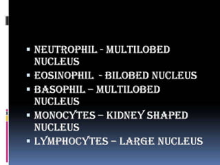 Blood components | PPTX
