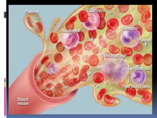 Blood components | PPTX