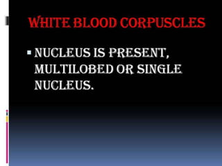 Blood components | PPT