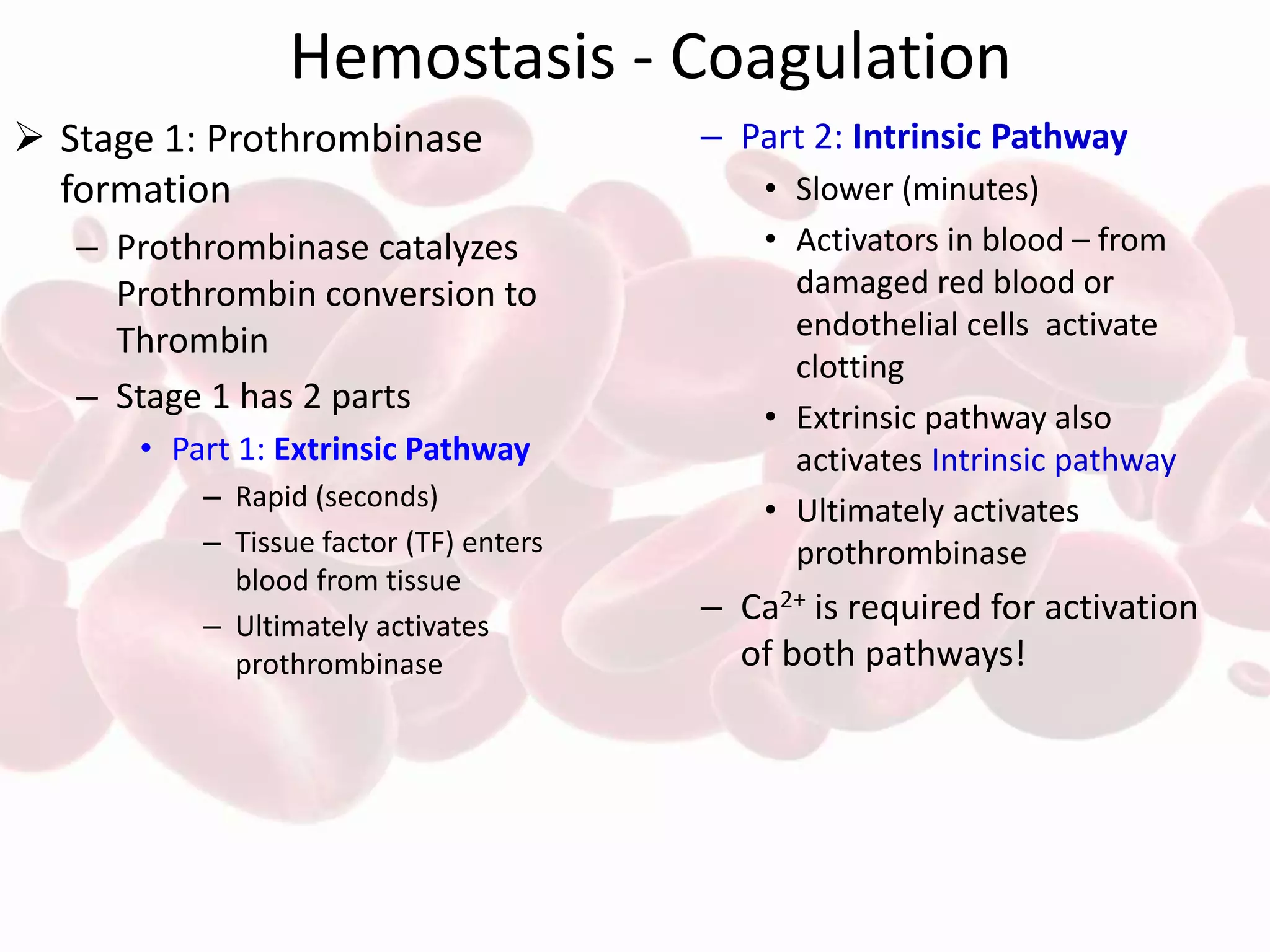 Blood coagulation | PPTX