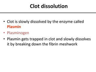 Blood coagulation | PPTX