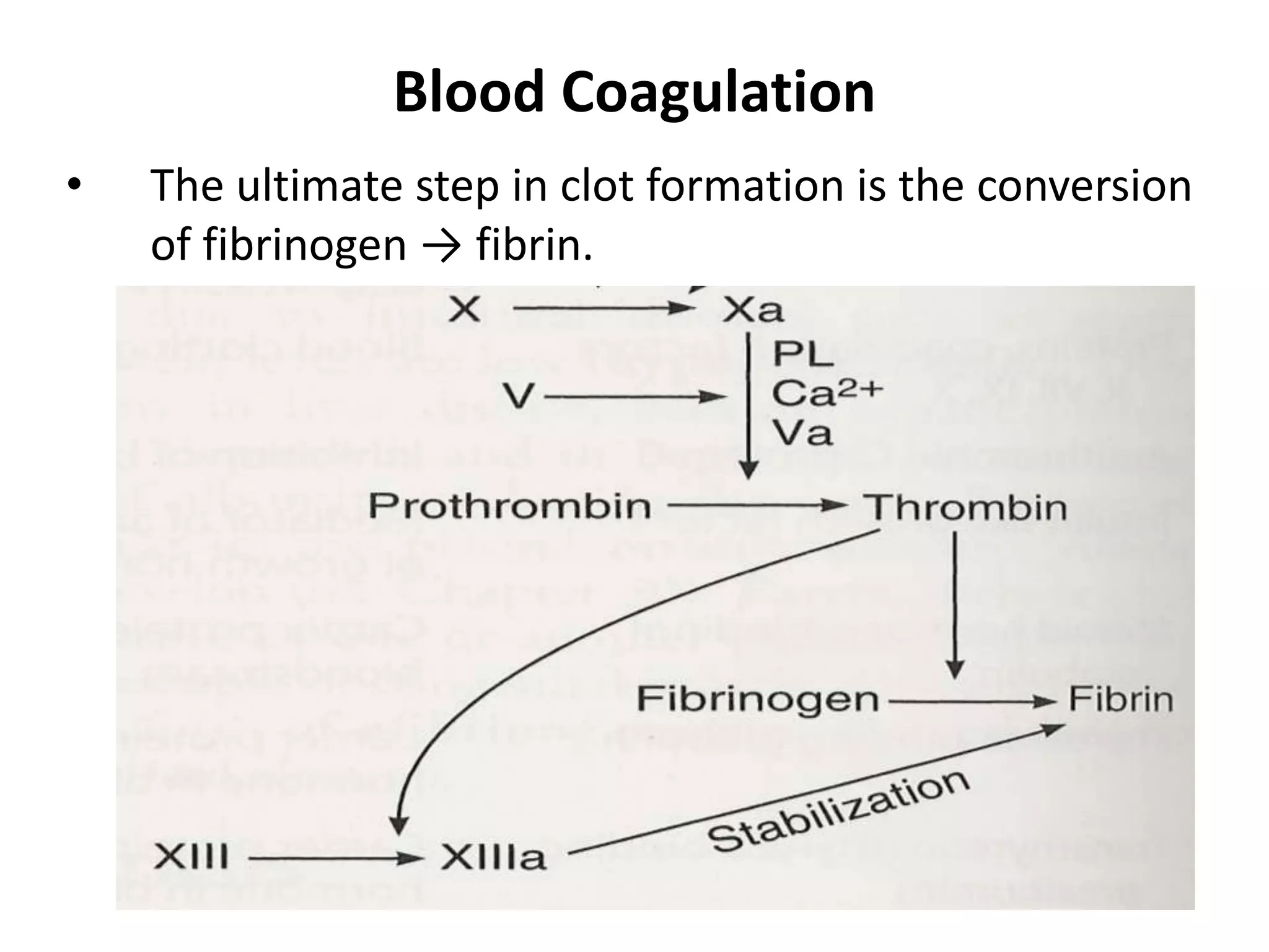 Blood coagulation | PPTX