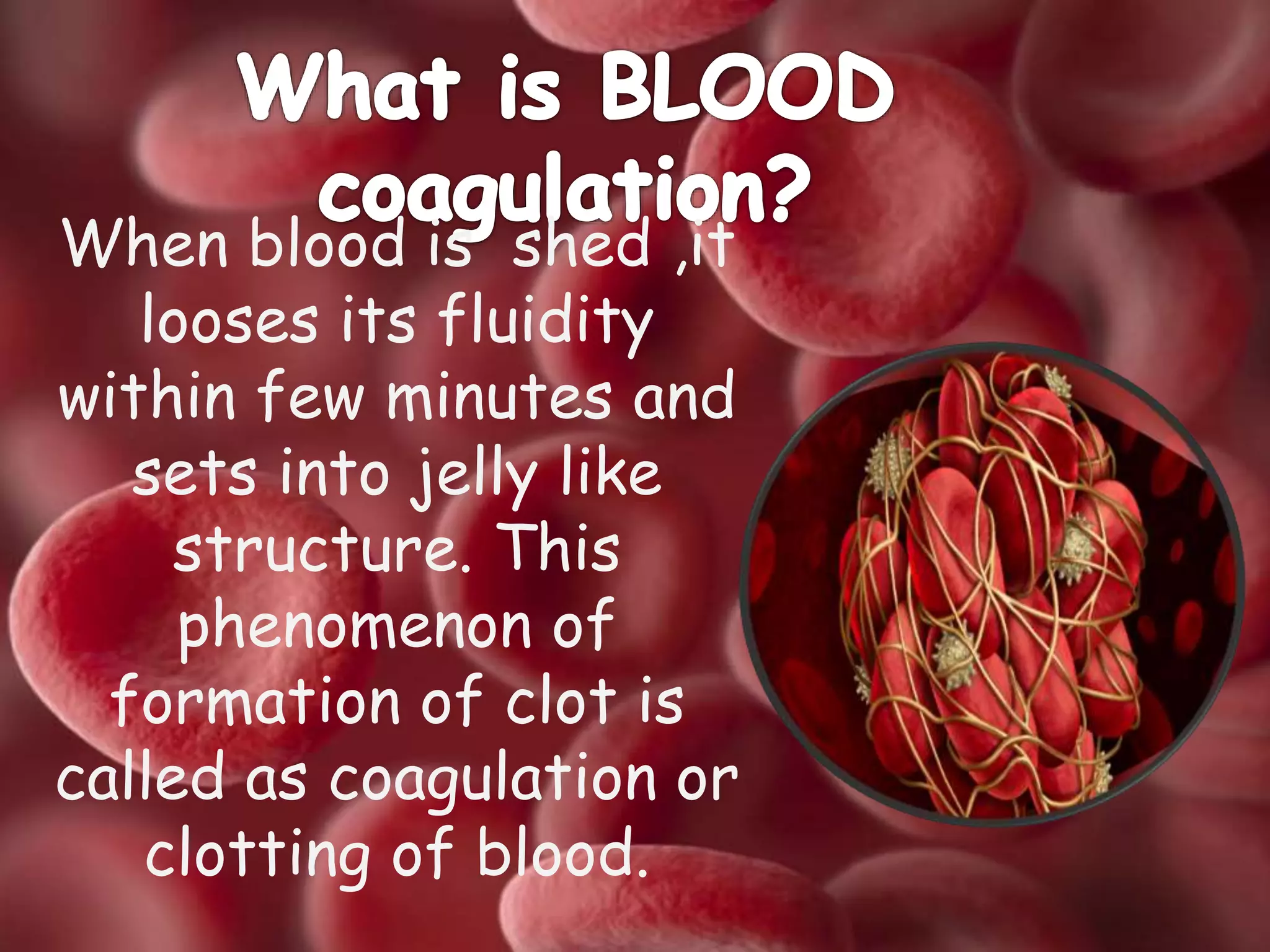 Blood coagulation | PPTX