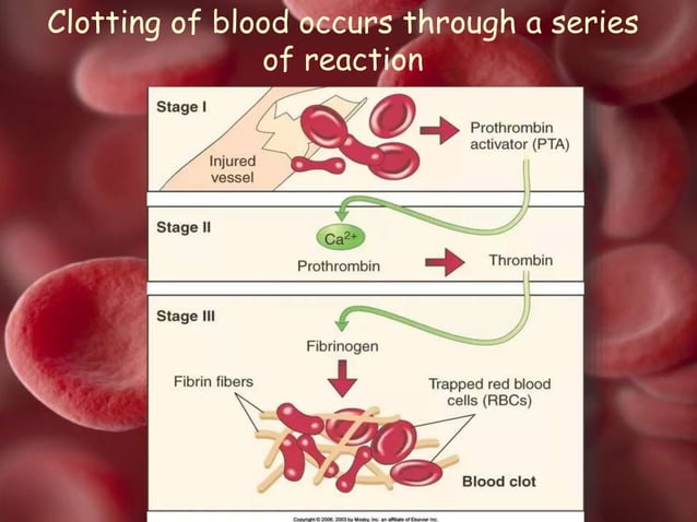 Blood coagulation | PPT