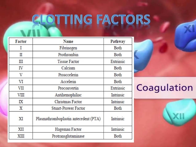 Blood coagulation | PPTX