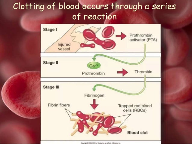 Blood coagulation