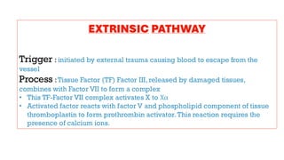 Blood Coagulation Mechanism | Hemostasis | Intrinsic & Extrinsic ...