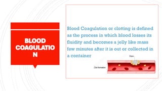 Blood Coagulation Mechanism | Hemostasis | Intrinsic & Extrinsic ...