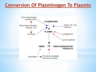 Blood coagulation | PPTX
