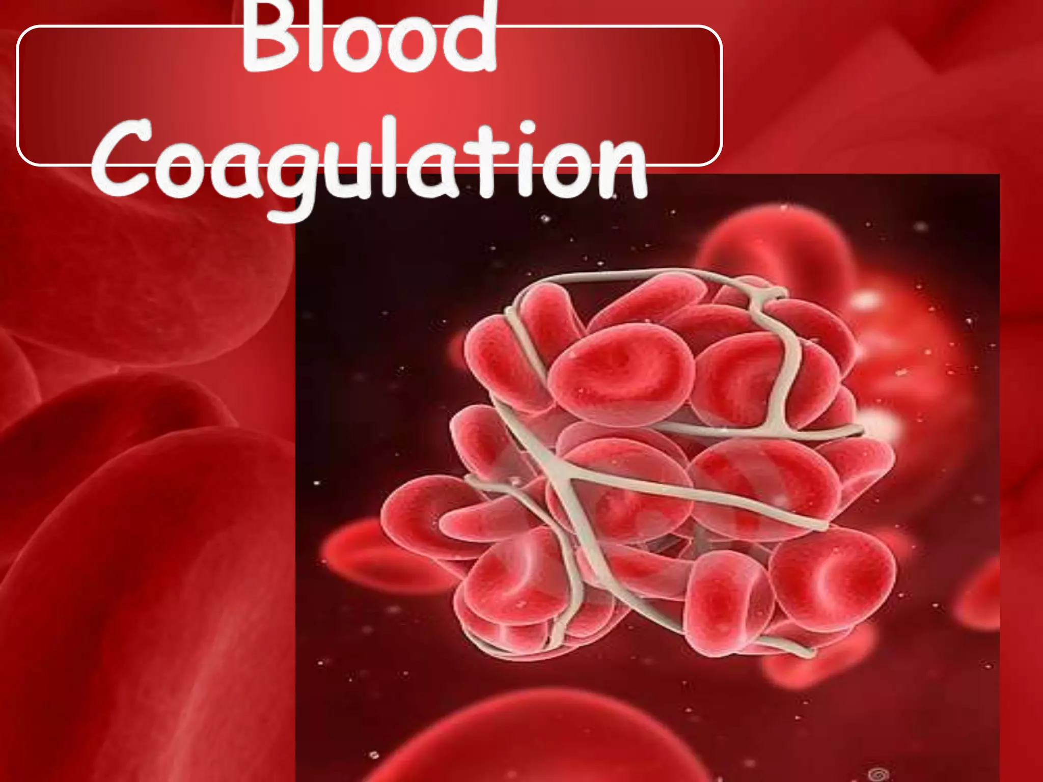 Blood Coagulation.pptx