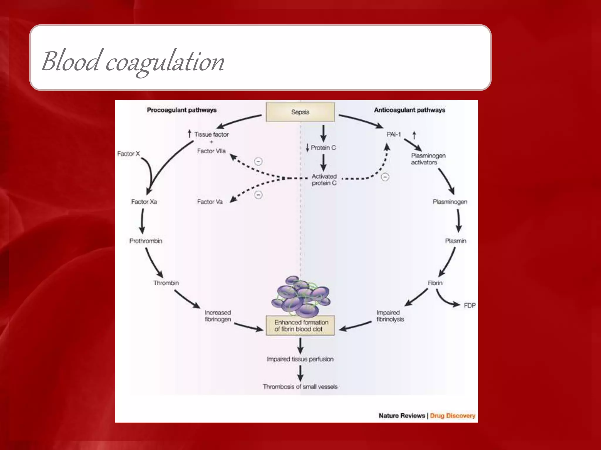 Blood Coagulation.pptx
