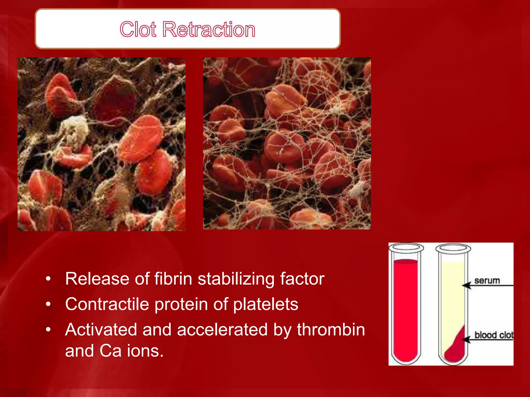 Blood Coagulation.pptx