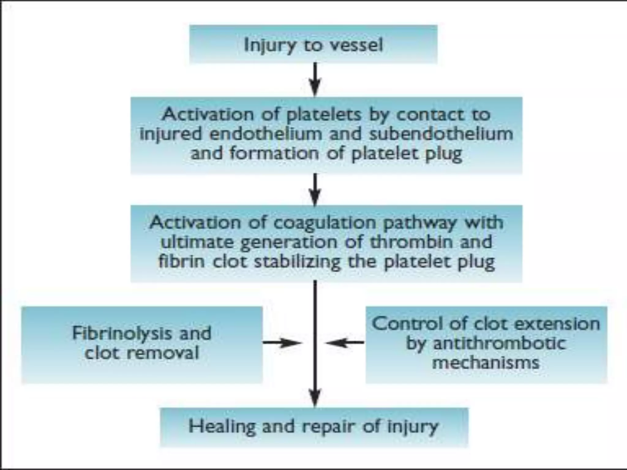 Blood Coagulation.pptx
