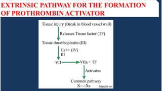 Blood_coagulation(Blood clotting Chapter).pdf