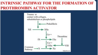 Blood_coagulation_physiology_pharmalogy_ .pptx