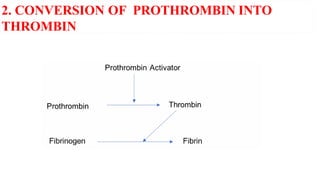 Blood_coagulation_physiology_pharmalogy_ .pptx