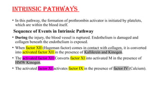 blood coagulation . clotting mechanism.pptx