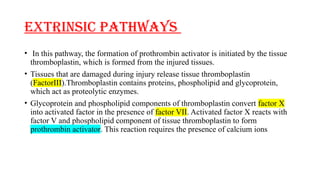 blood coagulation . clotting mechanism.pptx