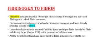 blood coagulation . clotting mechanism.pptx