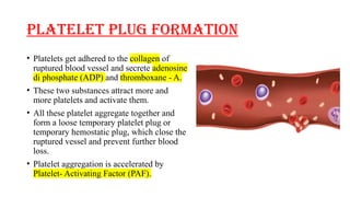blood coagulation & clotting mechanism.pptx
