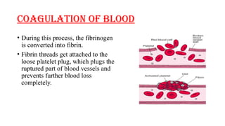 blood coagulation & clotting mechanism.pptx