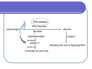 BLOOD COAGULATION mechanism and pathway.ppt