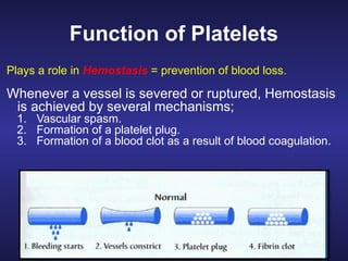 BLOOD COAGULATION THE ABALITY OF BLOOD TO FREEZE.PPTX