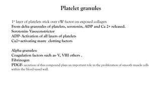 blood coagulation pathway and factors - Copy.pptx