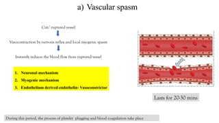 blood coagulation pathway and factors - Copy.pptx