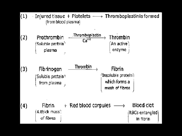 Coagulation of blood of human body's blood | PPT