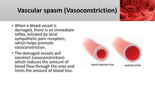 Blood coagulation | PDF