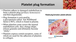 Blood coagulation | PDF