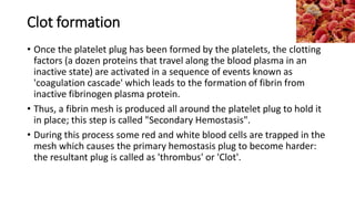 Blood coagulation | PDF