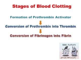 bloodcoagulationandclottingmechanism-221015163656-2f6797c3.pdf