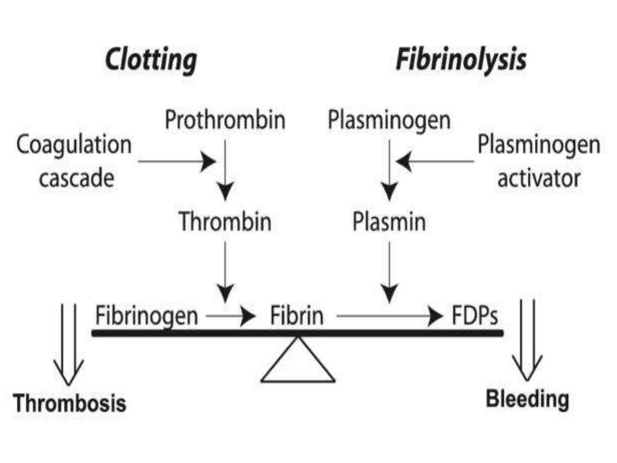 Blood Coagulation and Clotting Mechanism.pptx