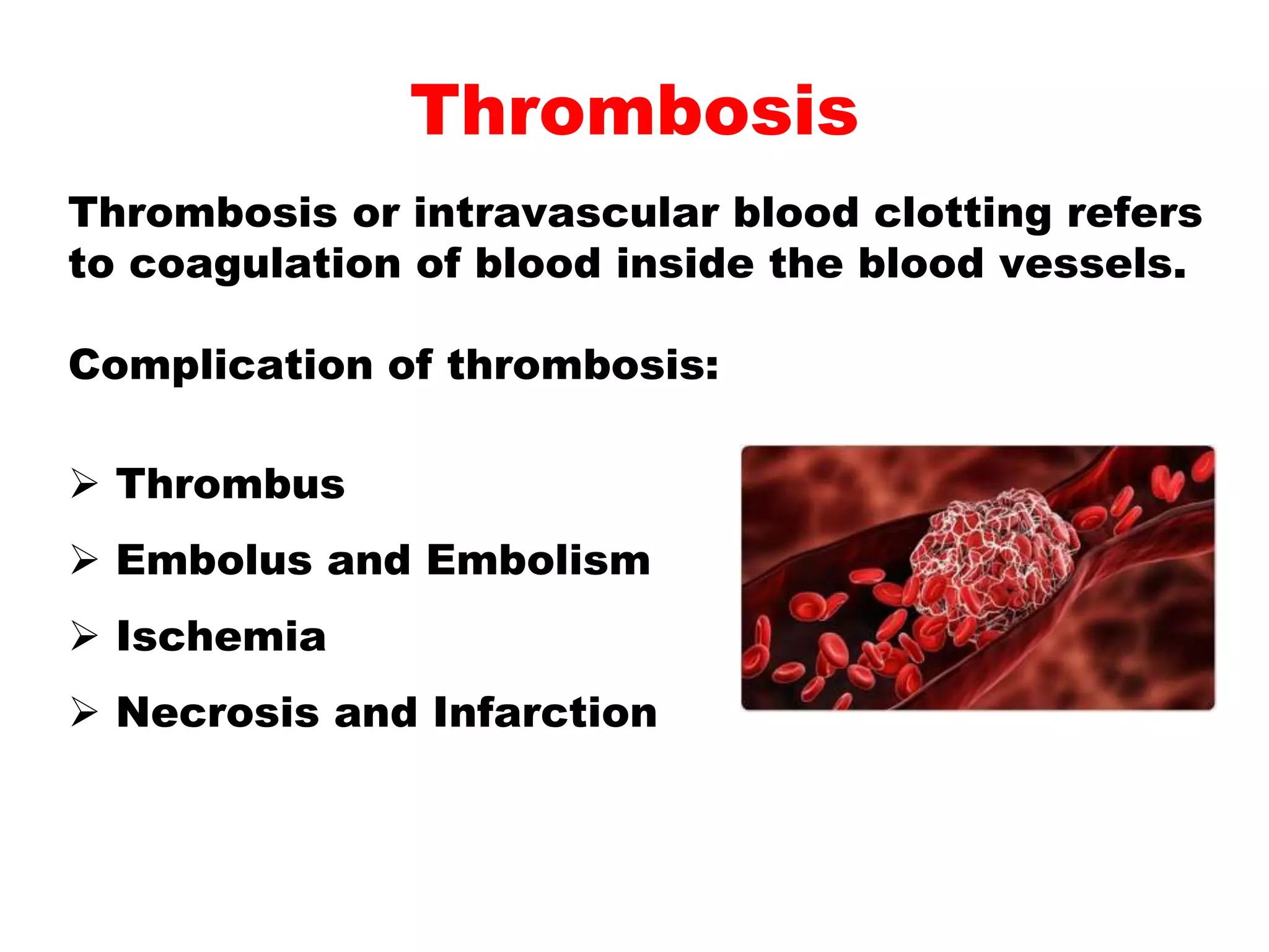 Blood Coagulation and Clotting Mechanism.pptx