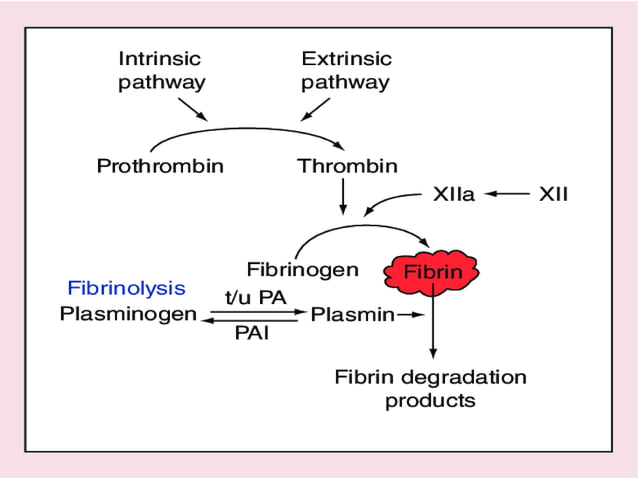 Blood Coagulation and Clotting Mechanism.pptx