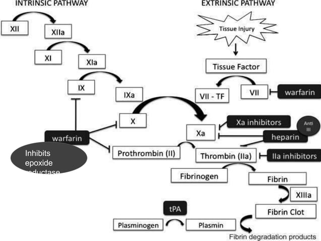Blood Coagulation and Clotting Mechanism.pptx