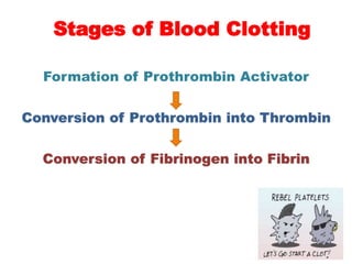 Blood Coagulation and Clotting Mechanism.pptx