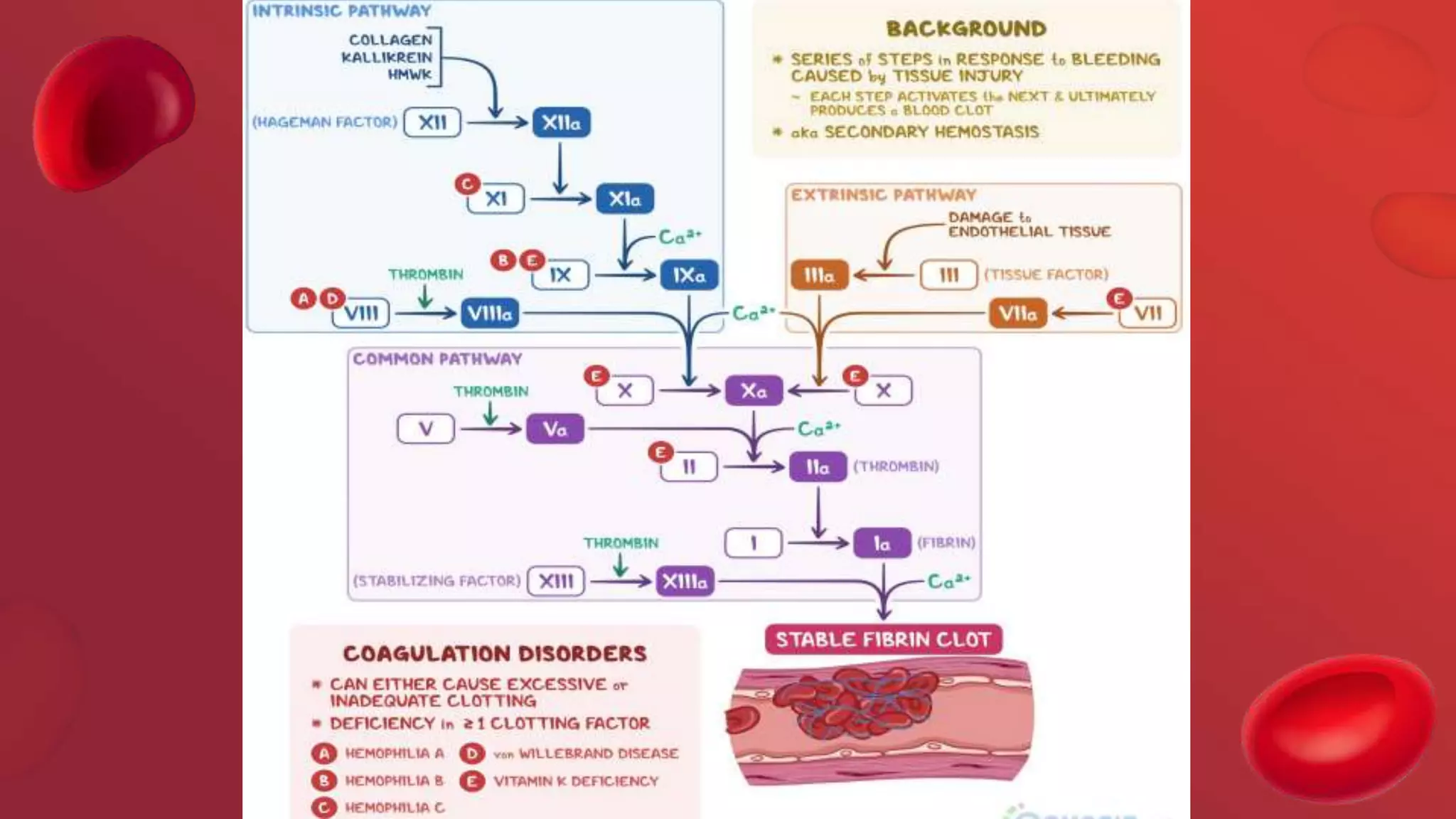 blood coagulation.pptx