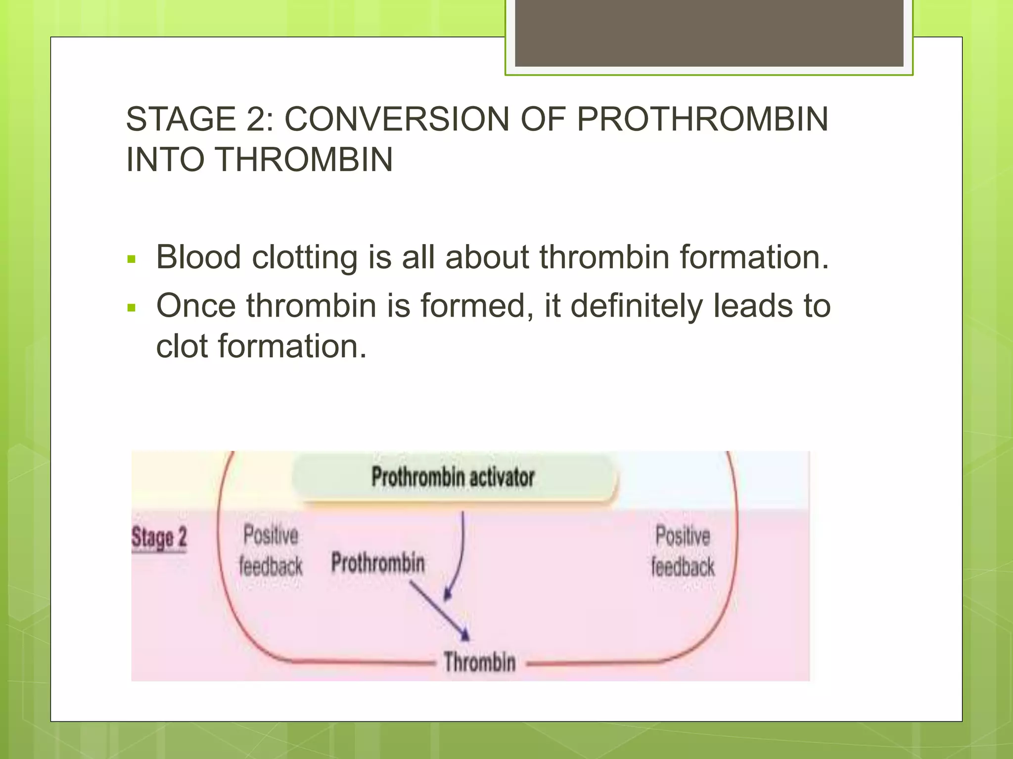 BLOOD COAGULATION + BLOOD GROUP.pptx